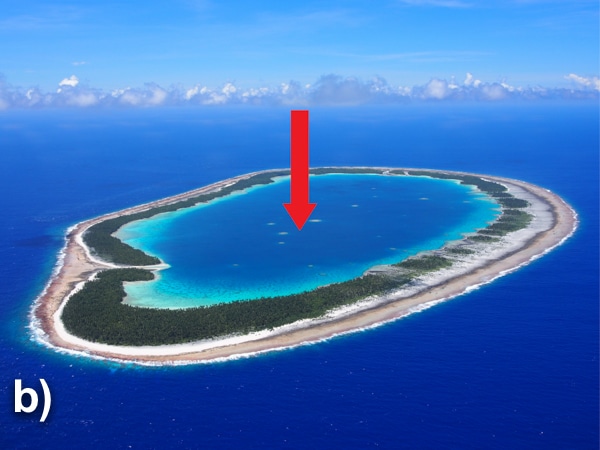 KSLOF Coral Reef Education Portal: Free Reef Zonation CourseLiving ...